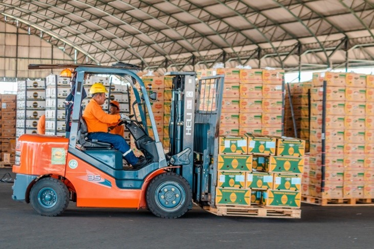 Exportación bananera, estabiliza economía del país. Terminal Marítima ...